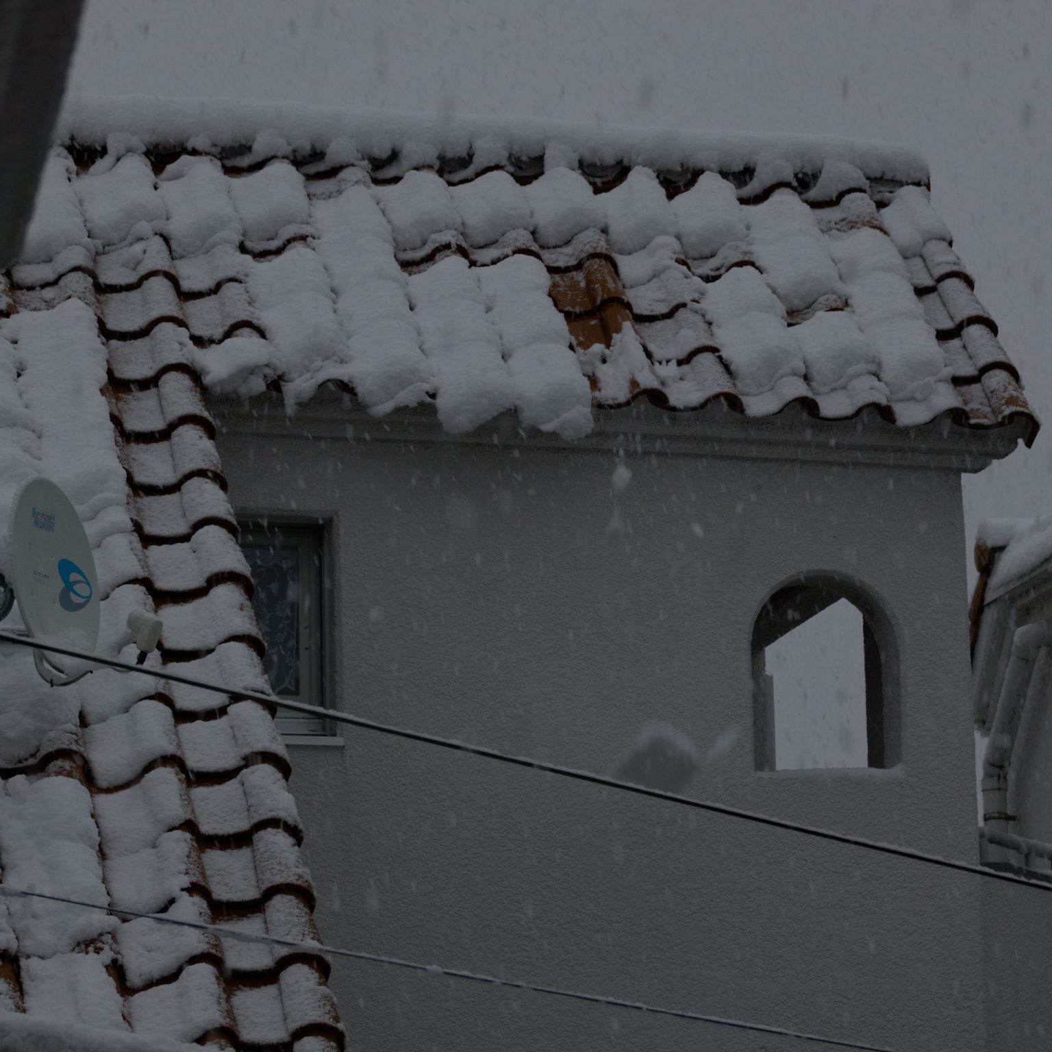 2025年12月 – 三題噺：馬・カメラ・Python