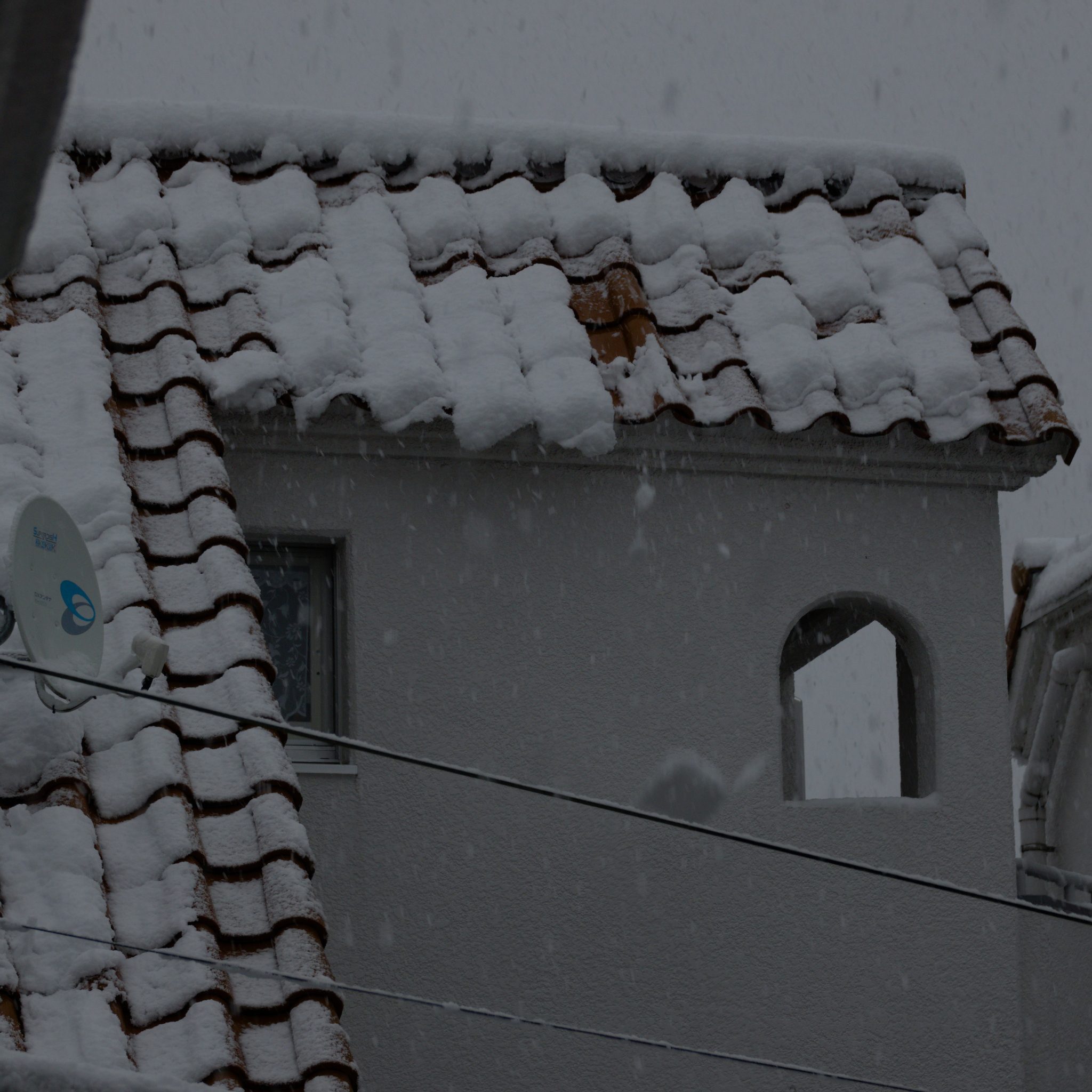 2025年12月 – 三題噺：馬・カメラ・Python